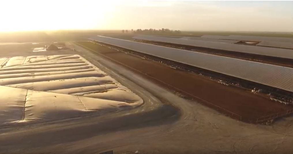 Dairy Digesters Help California Fuel a Cool and Sustainable Future