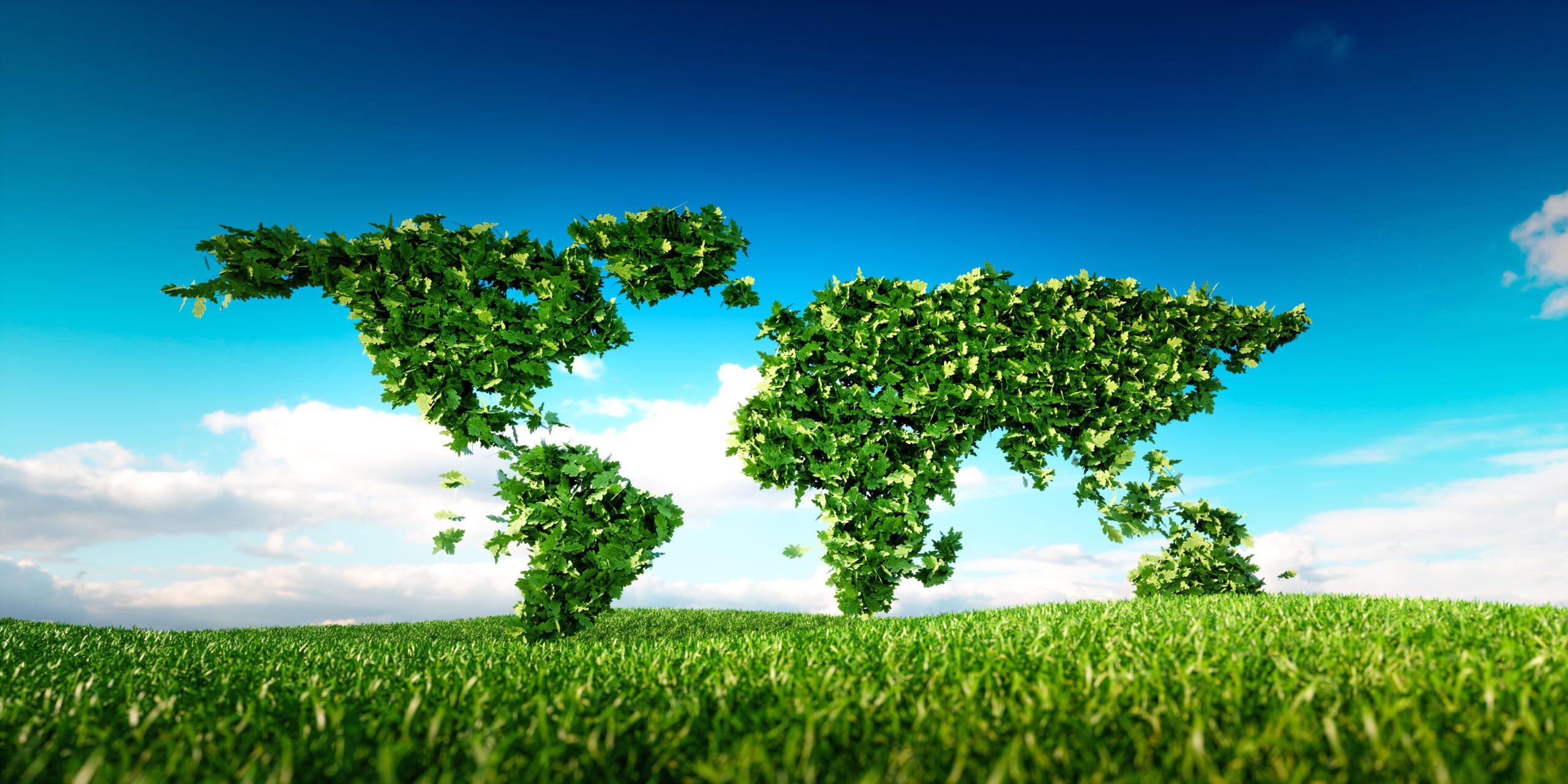 Global Fleet Sustainability: Breaking Local Barriers to Secure a ...